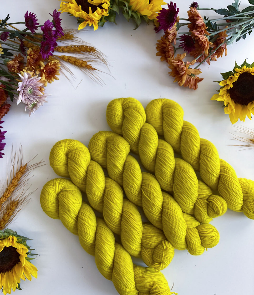 Coates & Co. – Coates & Co.